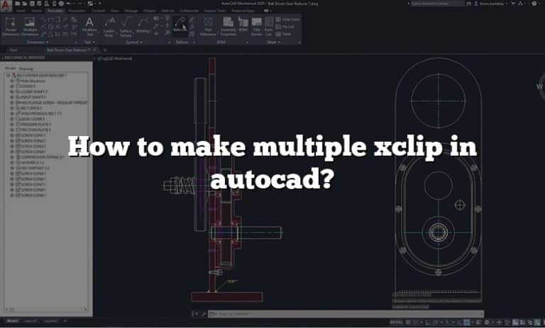How to make multiple xclip in autocad?