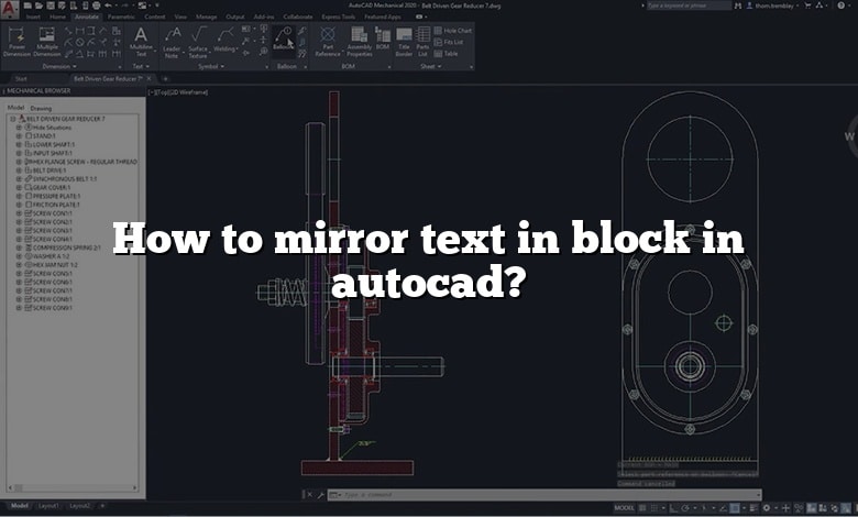 How to mirror text in block in autocad?