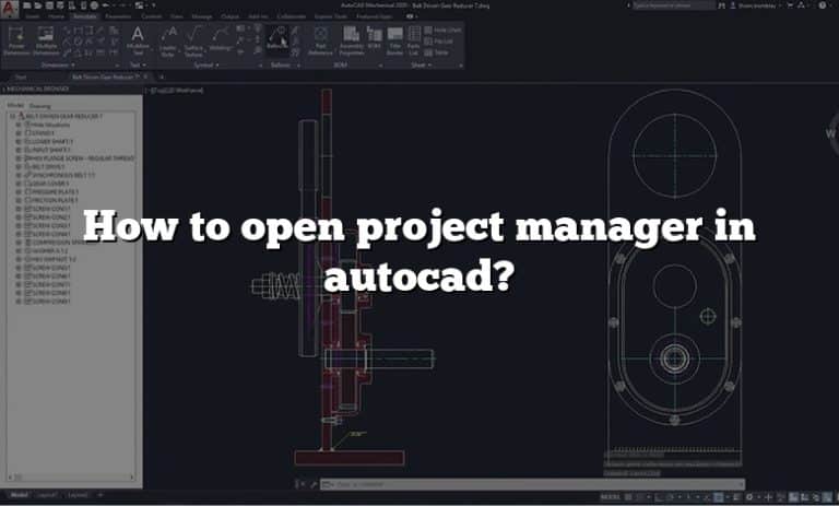 How to open project manager in autocad?