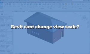 Revit cant change view scale?